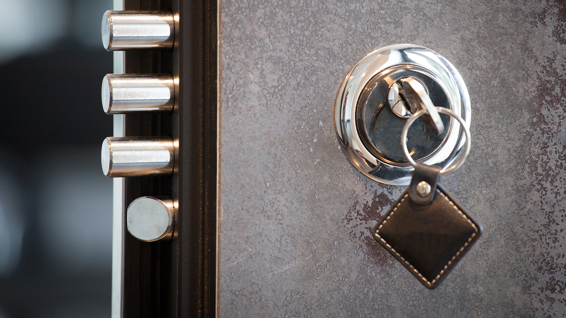 Door Locks | Option Categories | Salus Security Doors